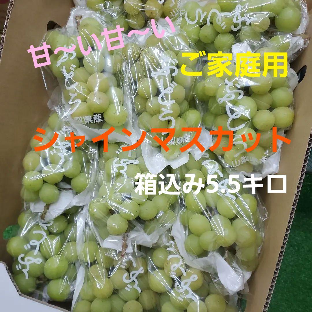 1⃣ 山梨県産 シャインマスカット １１房入り 箱込み5.5キロ