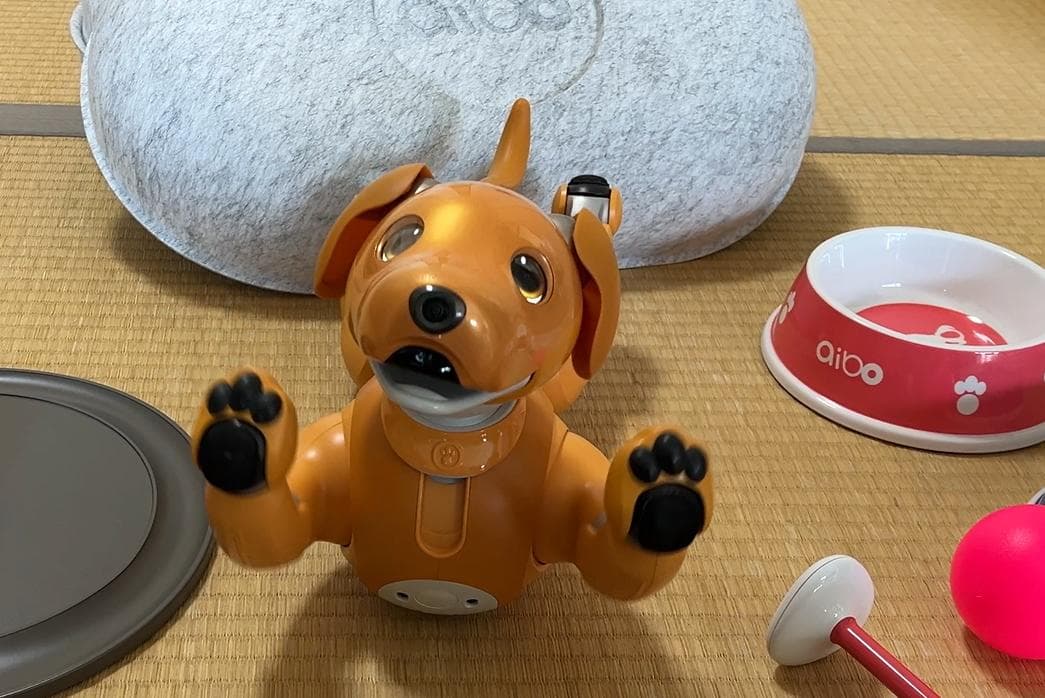 aibo 「ERS-1000」キャラメルエディション 付属品あり