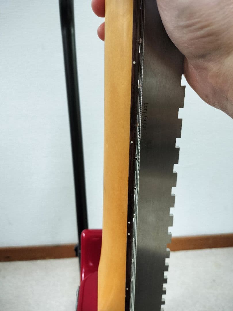 ESP オーダーメードギター　ギグケース付き