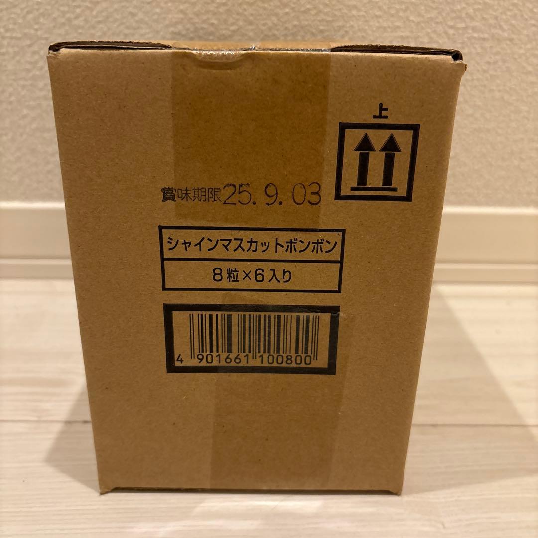 シャインマスカットボンボン　1箱6袋入