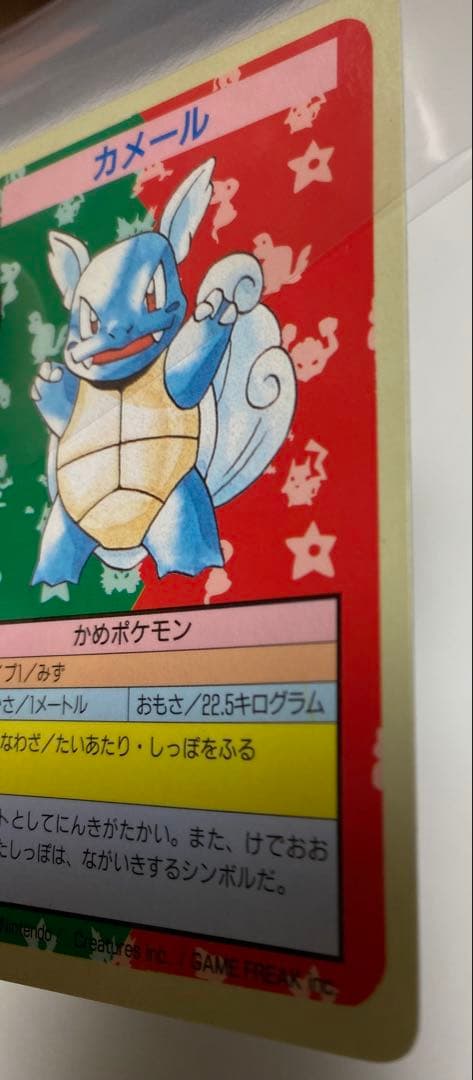 ポケモンカード トップサン エラー ナンバーレス 裏青 カメール