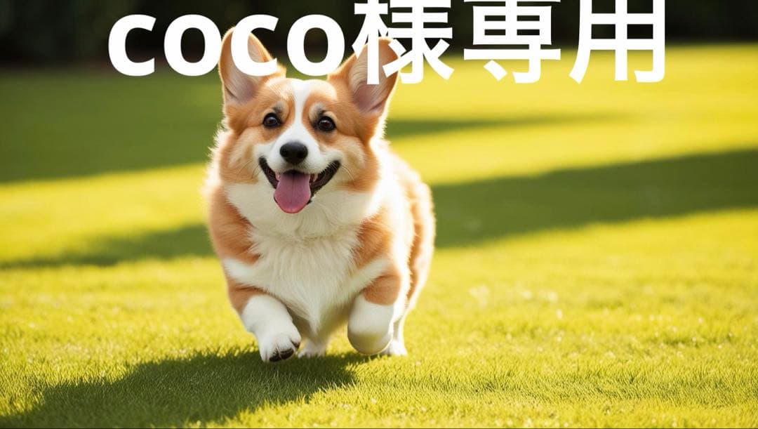 ぬいぐるみ coco