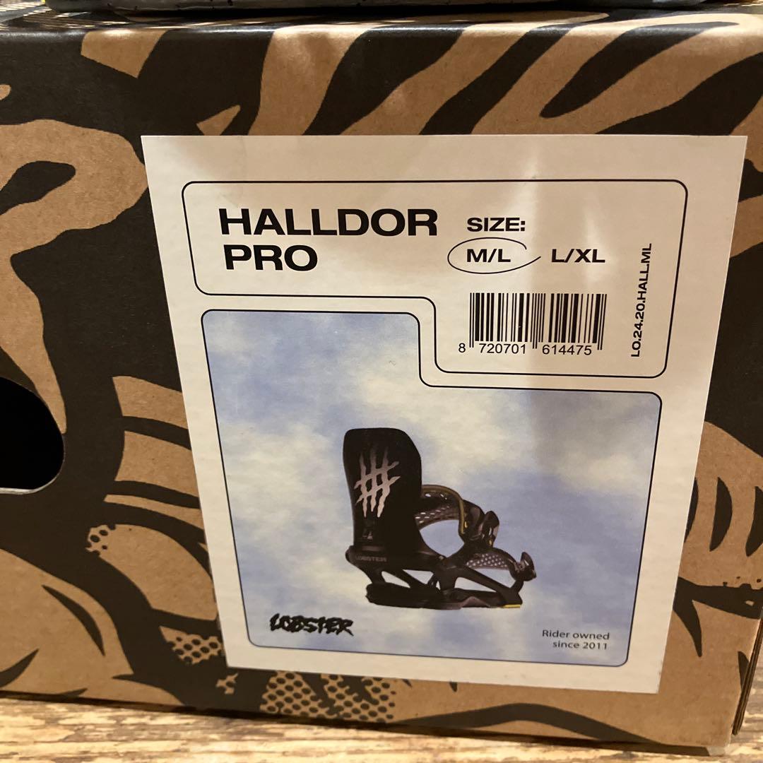 23-24 LOBSTER HALDOR PRO Mサイズ 美品