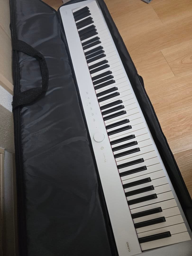 CASIO Px-s1100 White 専用ケース付属
