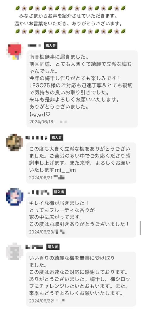 和歌山県みなべ町 南高梅 24時間以内収穫分2Lサイズ7キロ