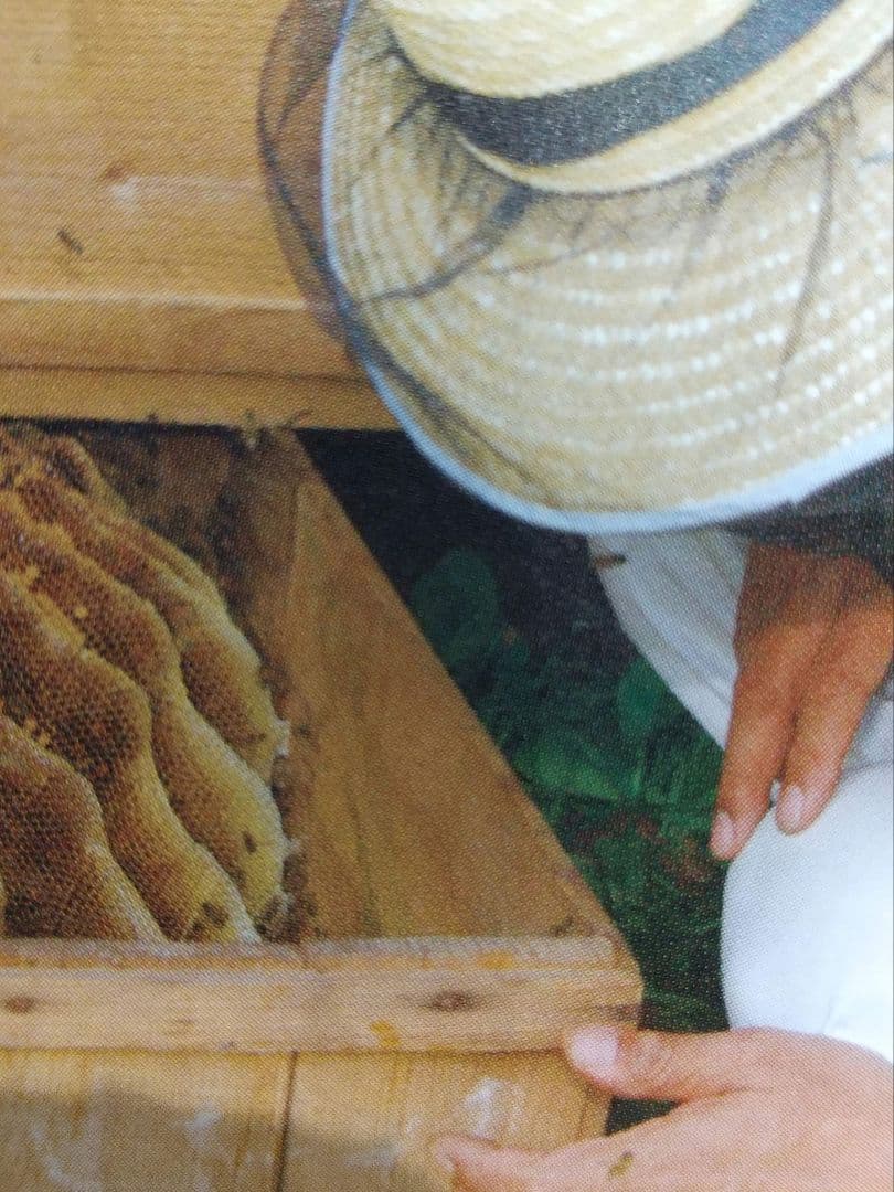 mondoです。 国産天然日本百花はちみつ鹿児島県南薩摩養蜂園蜂蜜計3kg