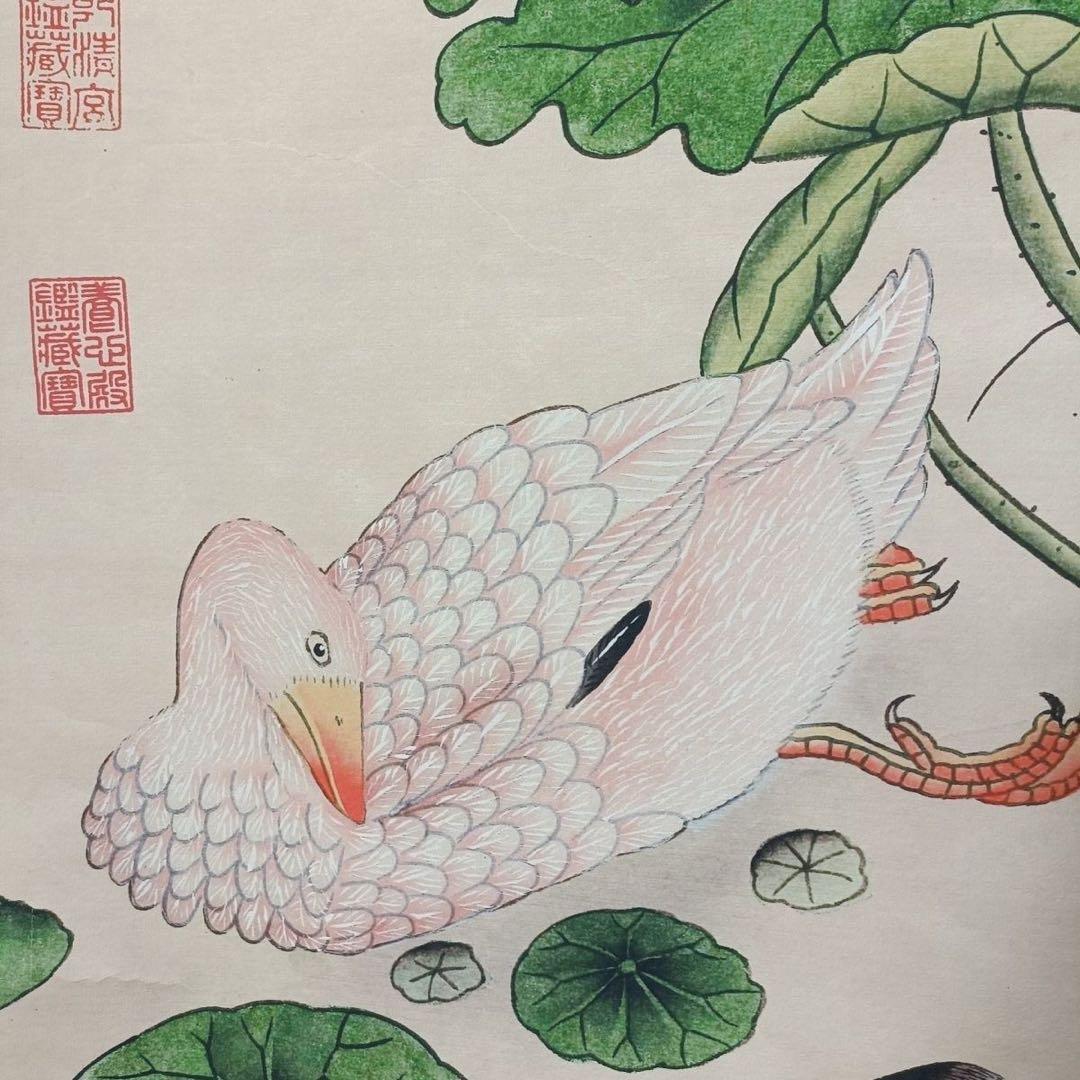 唐寅 荷塘雅趣 掛け軸 中堂 花鳥画 中国画 表装済 サイズ：70×173cm