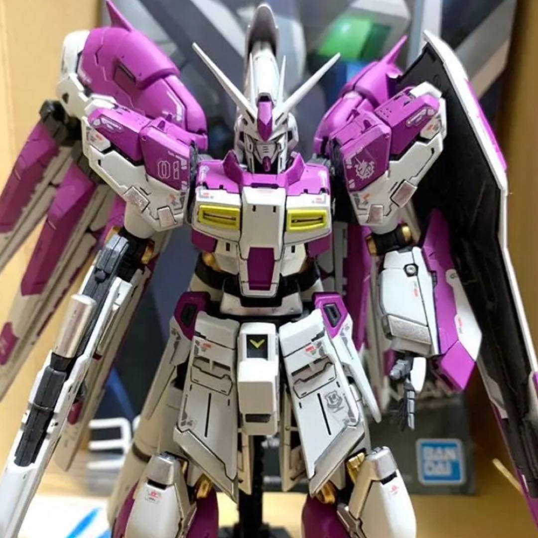 RG HI-V GUNDAM ハイニューガンダム Ver.Ka パープル