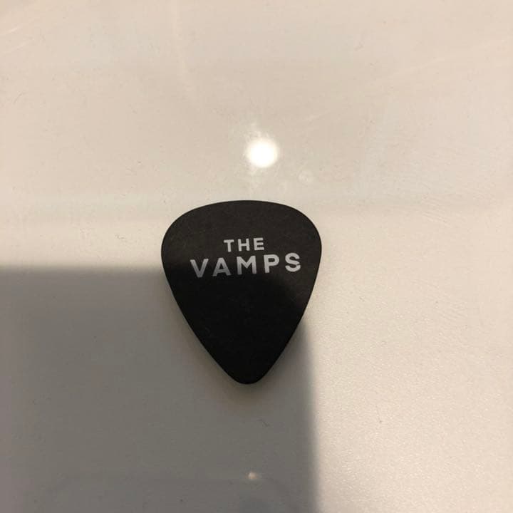 コレクション Bradley Will Simpson Guitar Pick