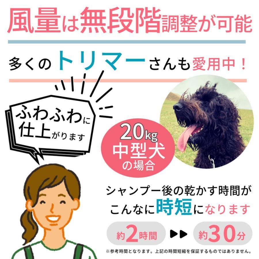 A 訳あり DOGOne ペットドライヤー 犬 クイックドライ 強風 ブラック
