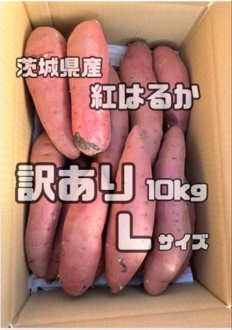 整理訳あり 紅はるか 20kg Lサイズ