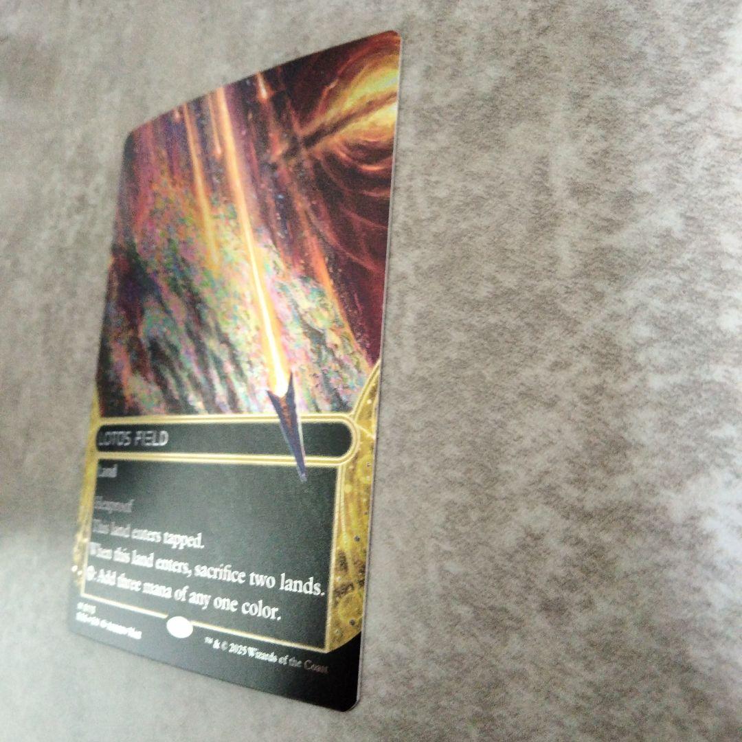 MTG　英語版foil　睡蓮の原野
