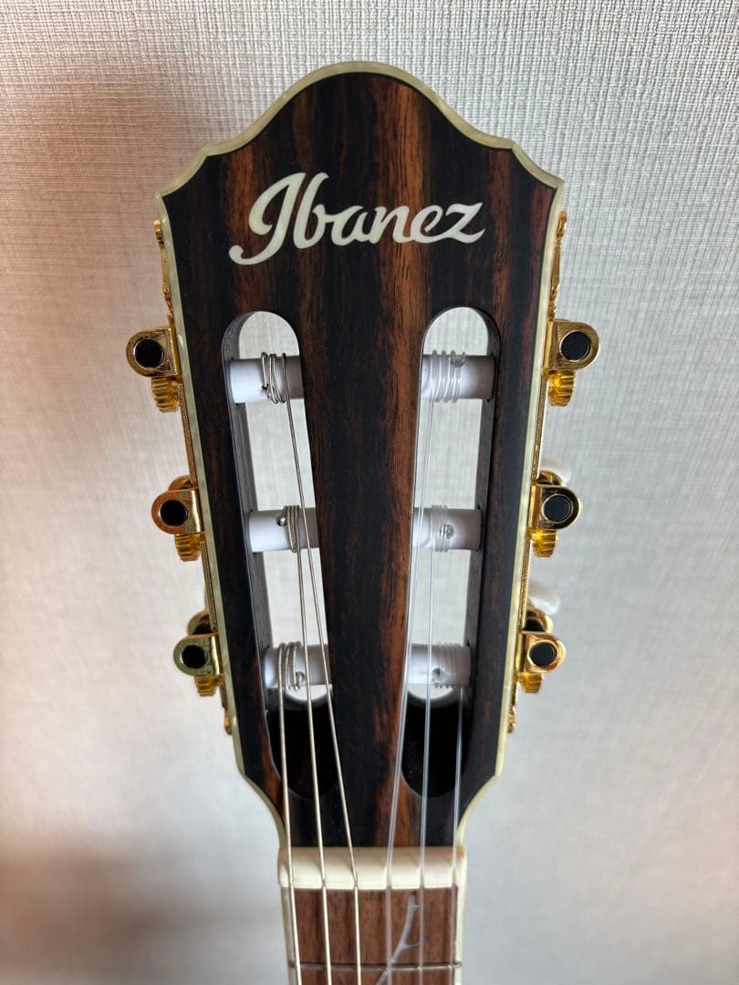 ギター IBANEZ TOD10N-TKF Tim Henson Signature