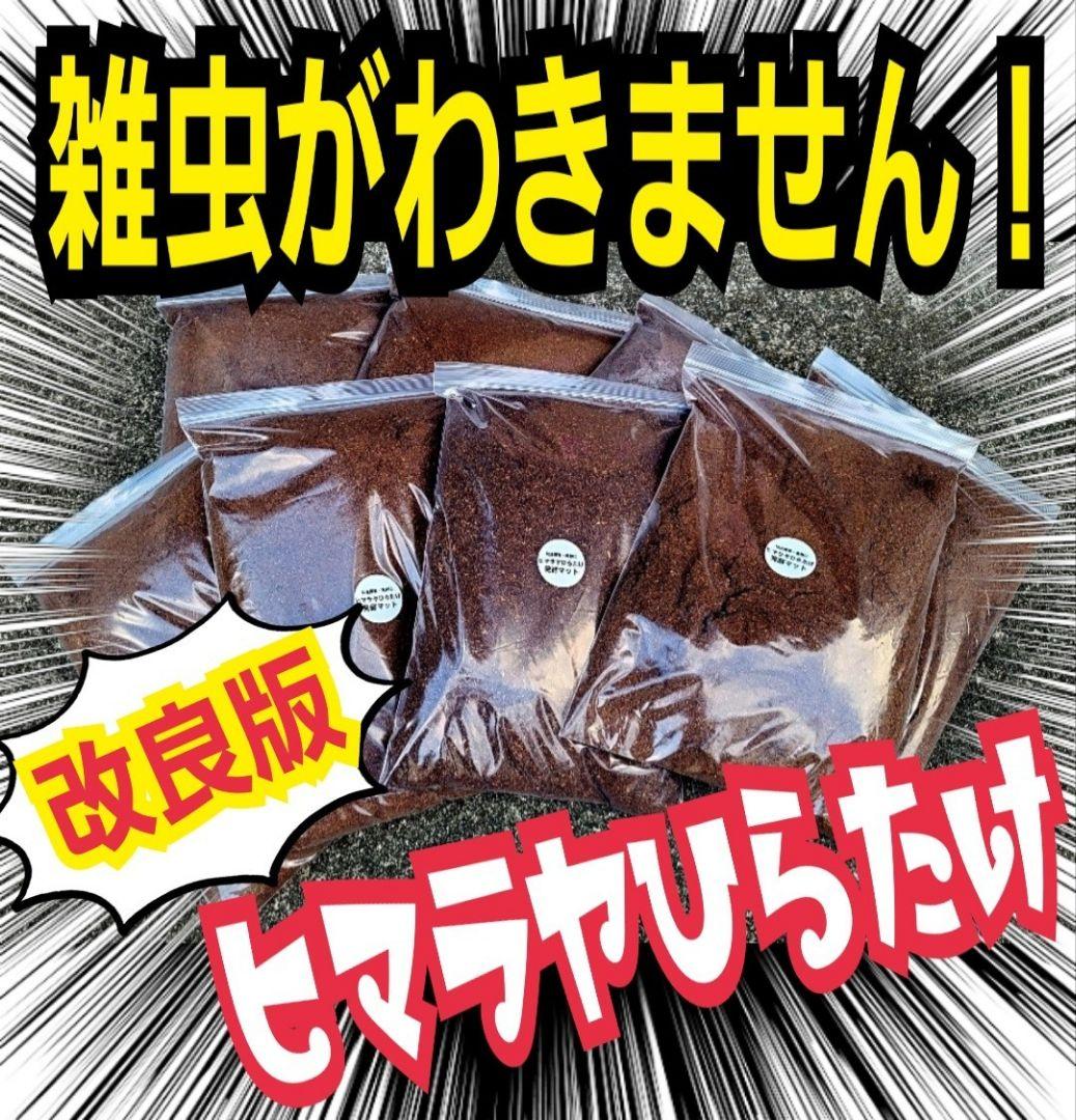 カブトムシ幼虫が大きくなる！栄養たっぷり！発酵マット【6袋】雑虫も湧きません！