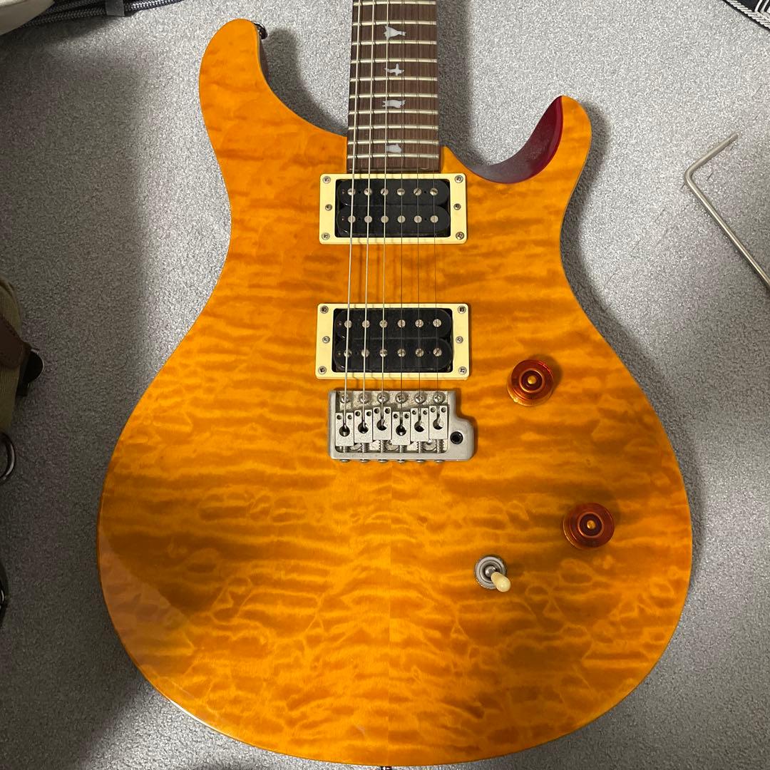 Paul Reed Smith (ポールリードスミス) エレキギター