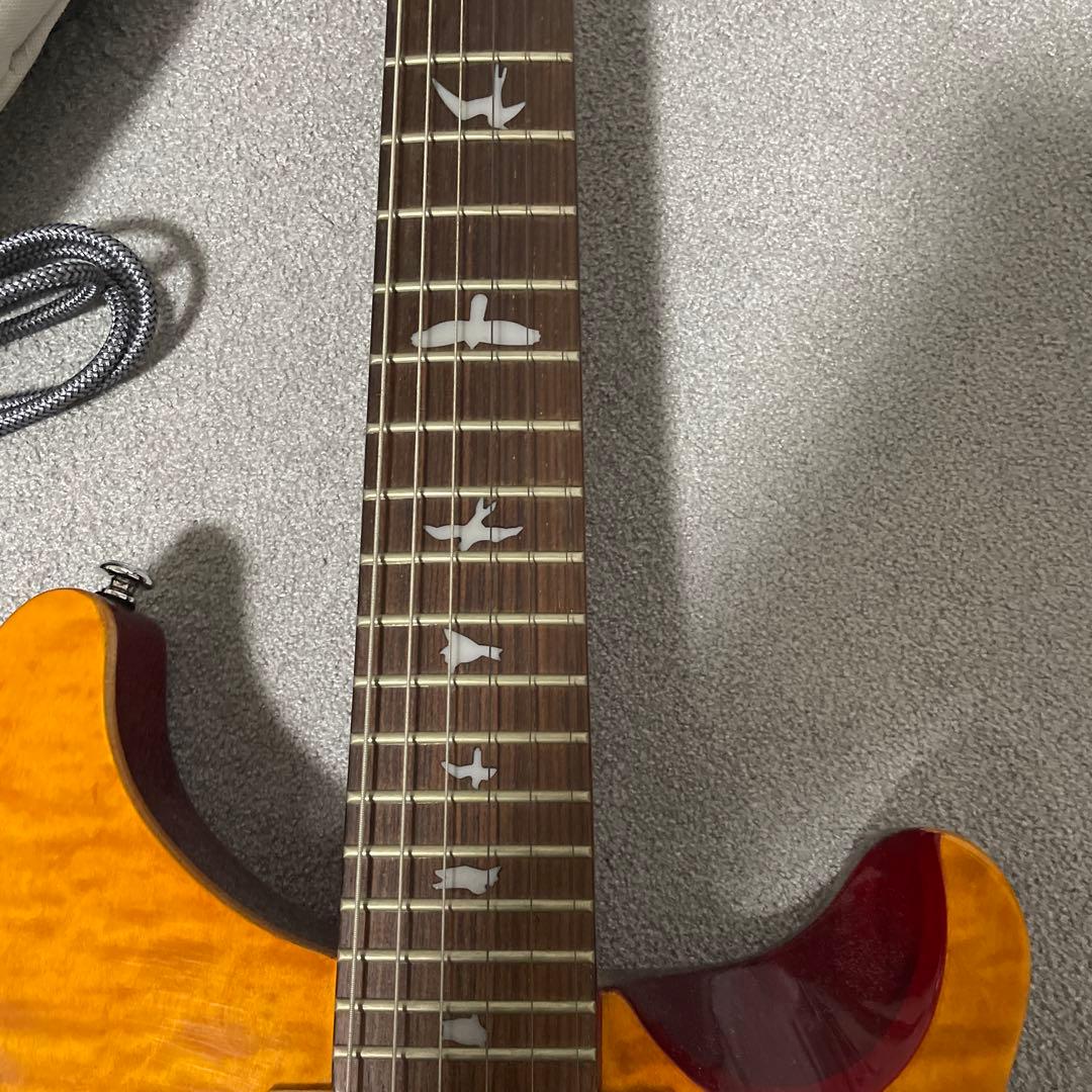 Paul Reed Smith (ポールリードスミス) エレキギター