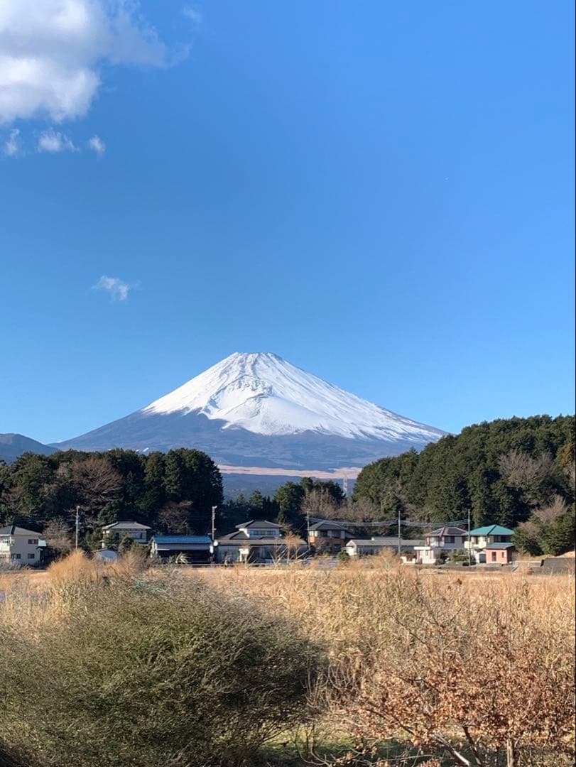 里芋　八頭 ぽん太10キロ 富士山麓産