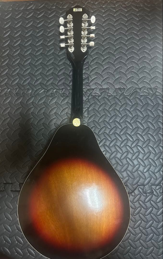 harmony mandolin フラットマンドリン 1970ビンテージ