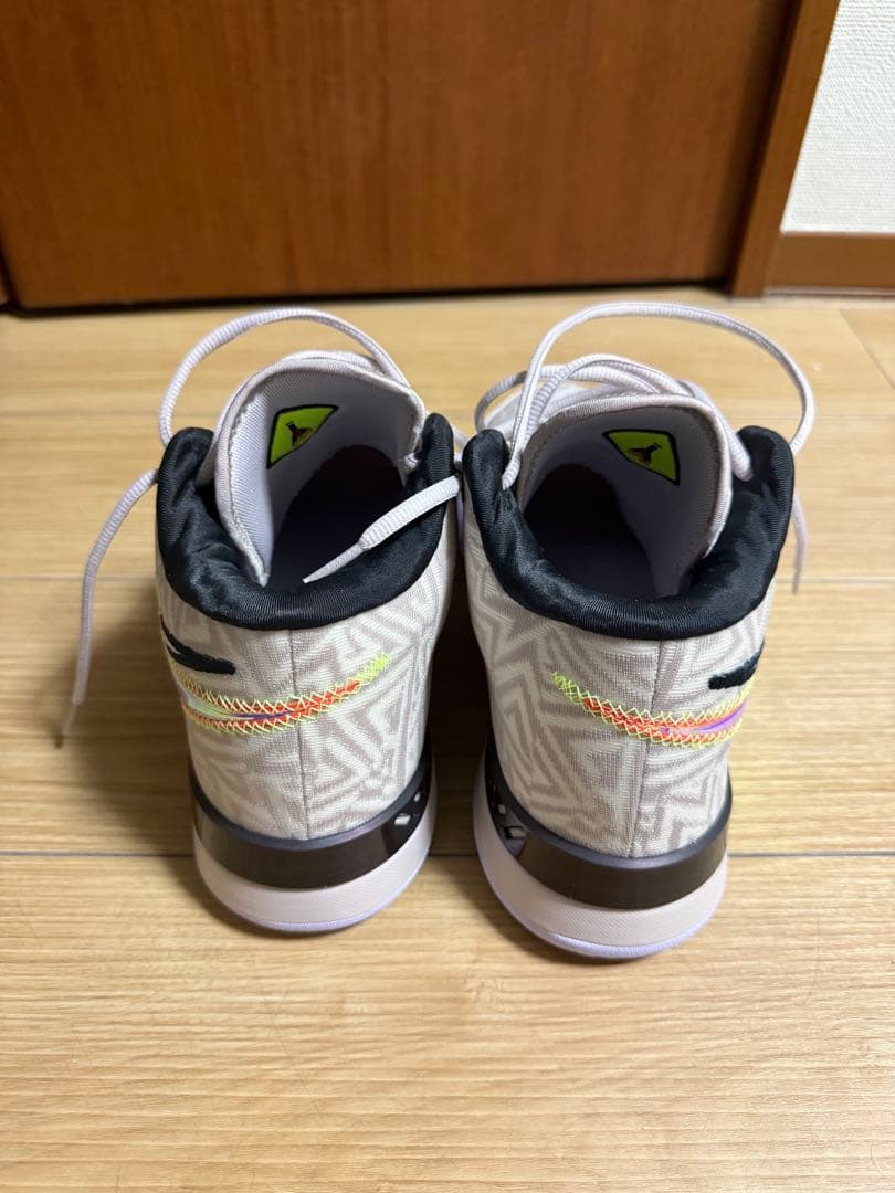 シューズ(男性用) Lebron NXXT GENISUS EP