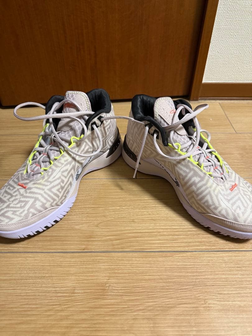 シューズ(男性用) Lebron NXXT GENISUS EP