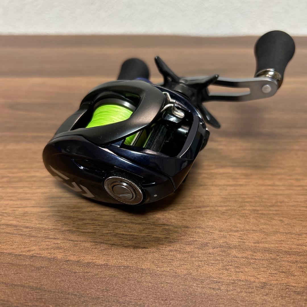 ソルティスト DAIWA SALTIST TW 100XH L 1個
