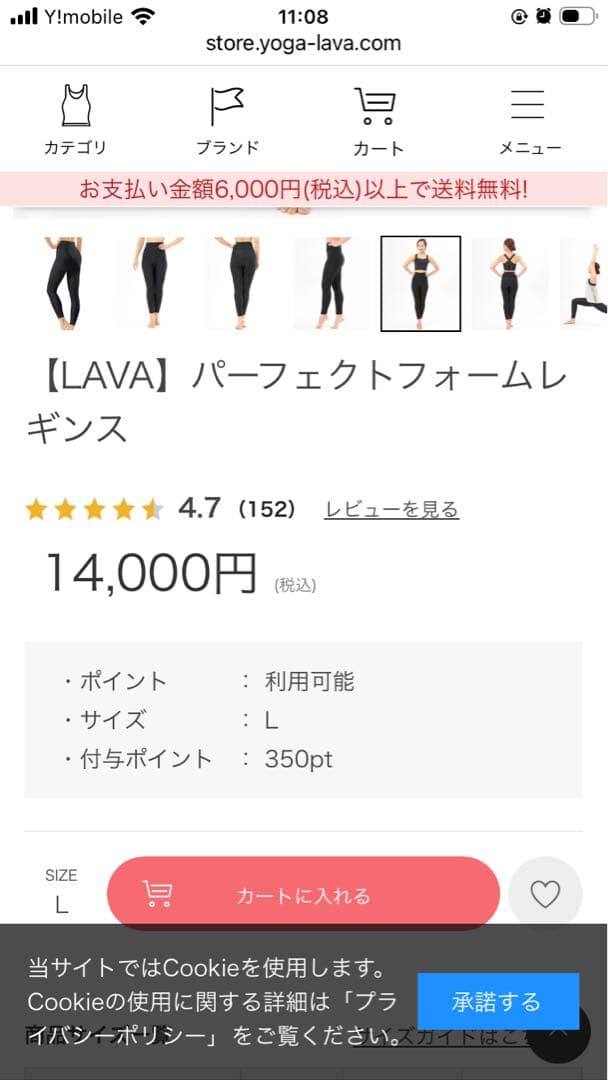 rintosul LAVA パーフェクトフォームレギンス L 黒