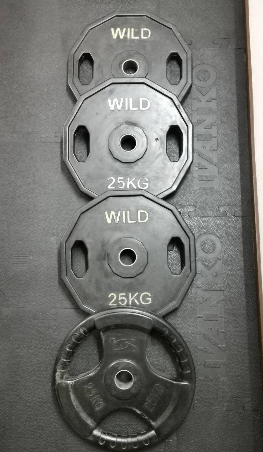 WILD ワイルド　100kg ウエイト25kg 4枚セット