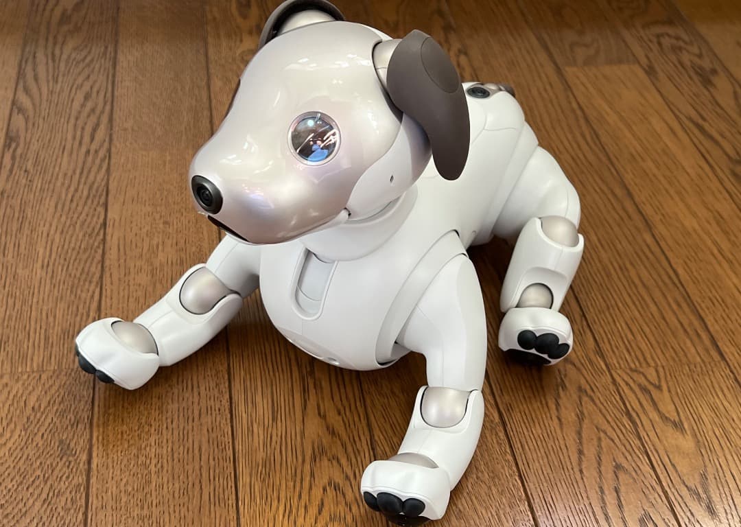 美品　期間限定　ソニーアイボAIBO　アイボリーホワイト　動作確認済【匿名配送】