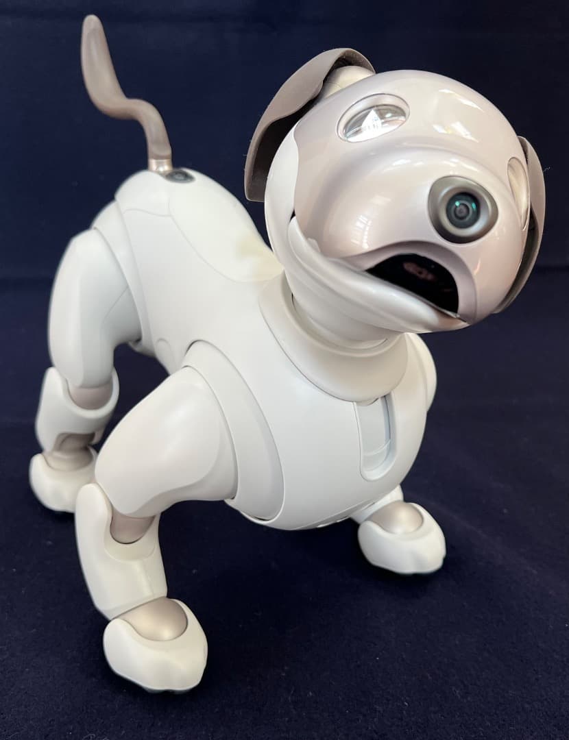 美品　期間限定　ソニーアイボAIBO　アイボリーホワイト　動作確認済【匿名配送】