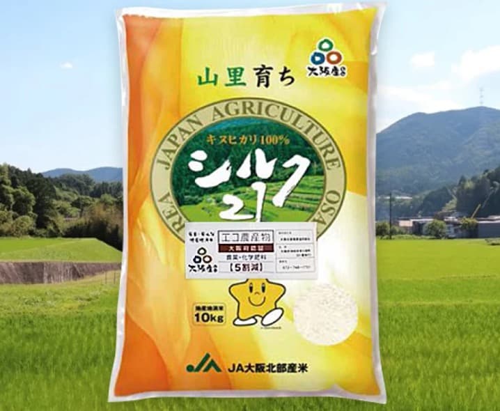 【JA大阪北陸産 】 令和6年産 キヌヒカリ100% 10kg (5kg✖️2)