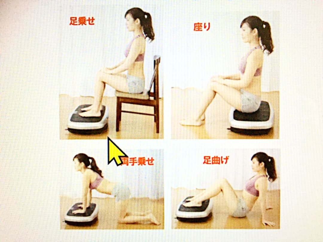 痩せる身体、筋肉表面よりむしろ内部深層部まで振動、フィットネスマシーン、新品