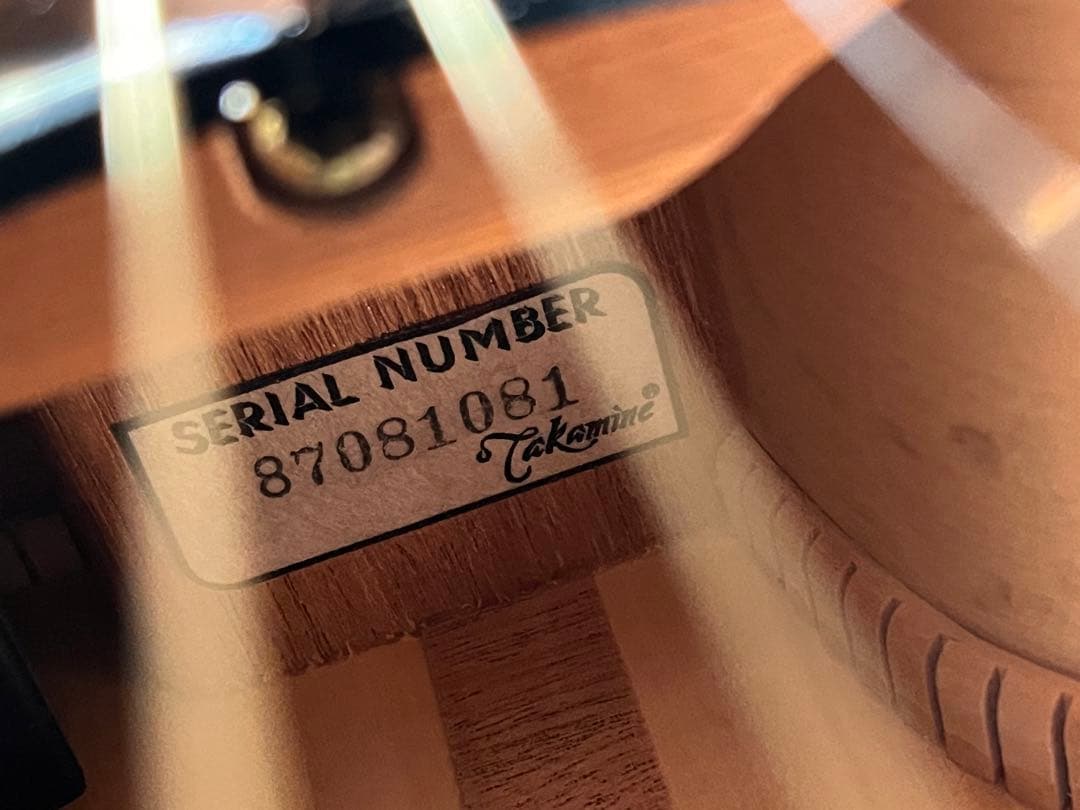 TAKAMINE PT-118 1987年製