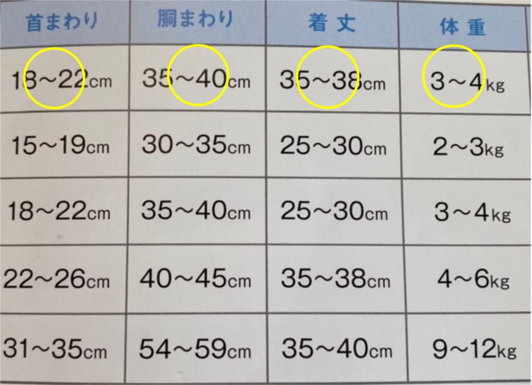 犬服バンドメイド　イエローパーカー