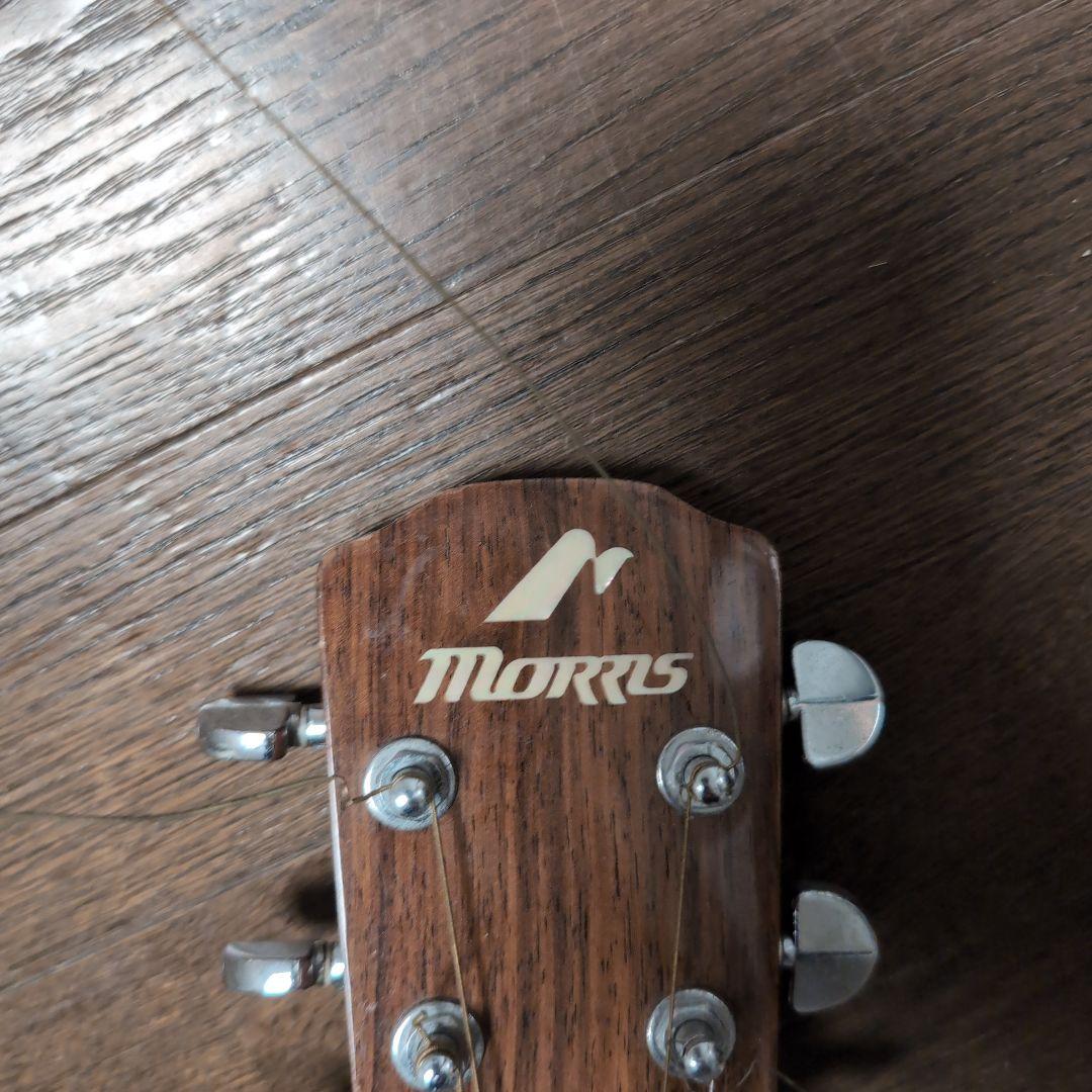 Morris エレアコ アコースティックギター M-51GT