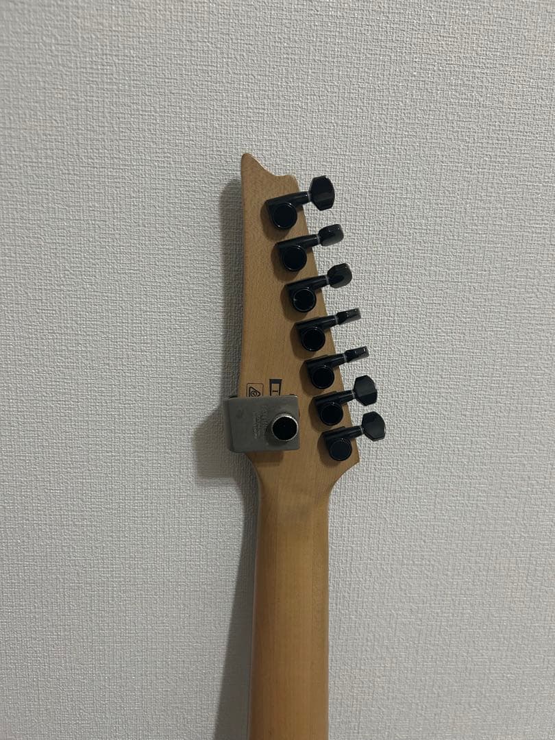 (値下げ中)Ibanez Ibanez RG7421PB-SBF 【7弦】