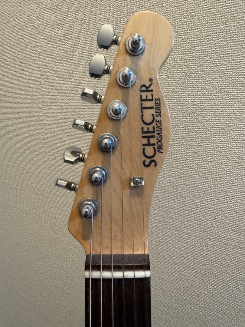 SCHECTER PA-LS/TK 凛として時雨 TKモデル エフェクター付き