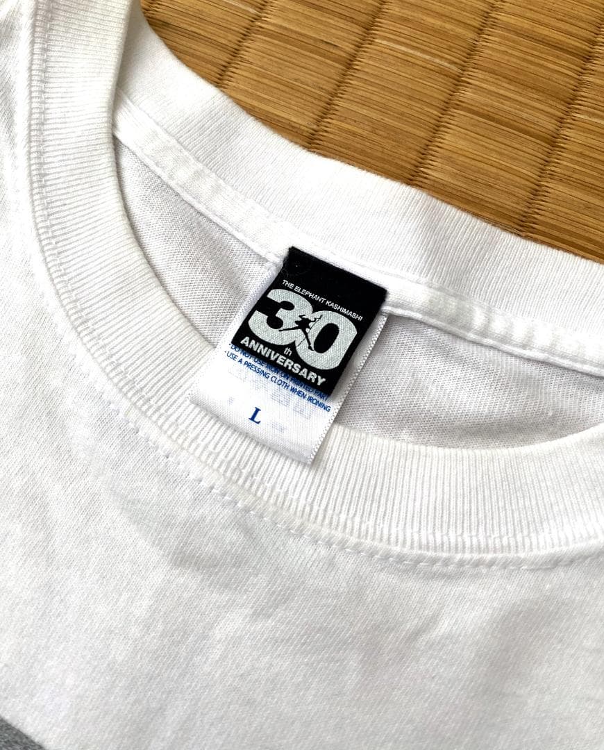 ◉ エレファントカシマシ　デビュー30周年 野音Tシャツ（L）※古着