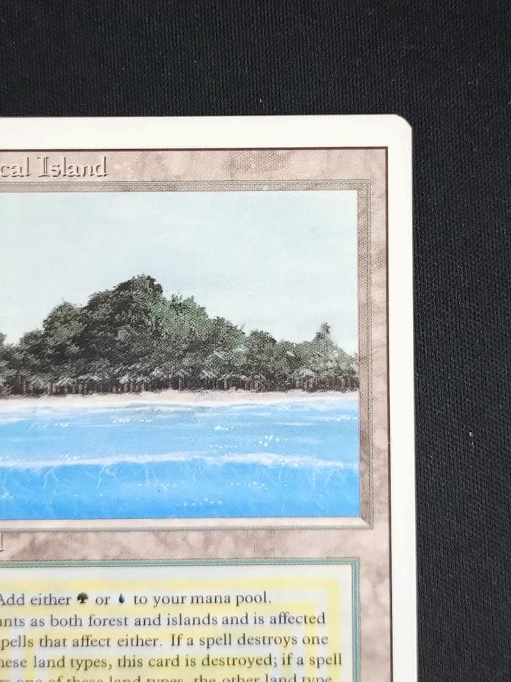 【安心鑑定対応】MTG Tropical  英語 リバイズド 3ED