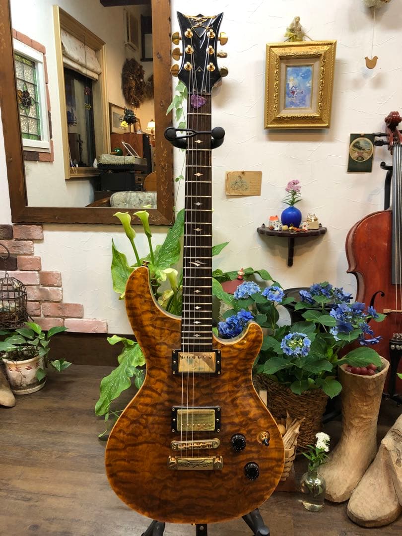 富士弦製DBZ GUITARS Infinity Mondial　T'sPU搭載