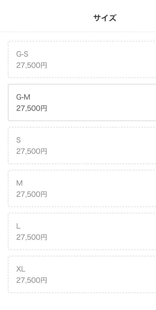 未使用品eb's(エビス)ebsBODY スノーボードプロテクター（防具）