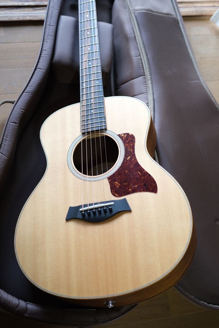 Taylor LTD GS Mini 限定モデル