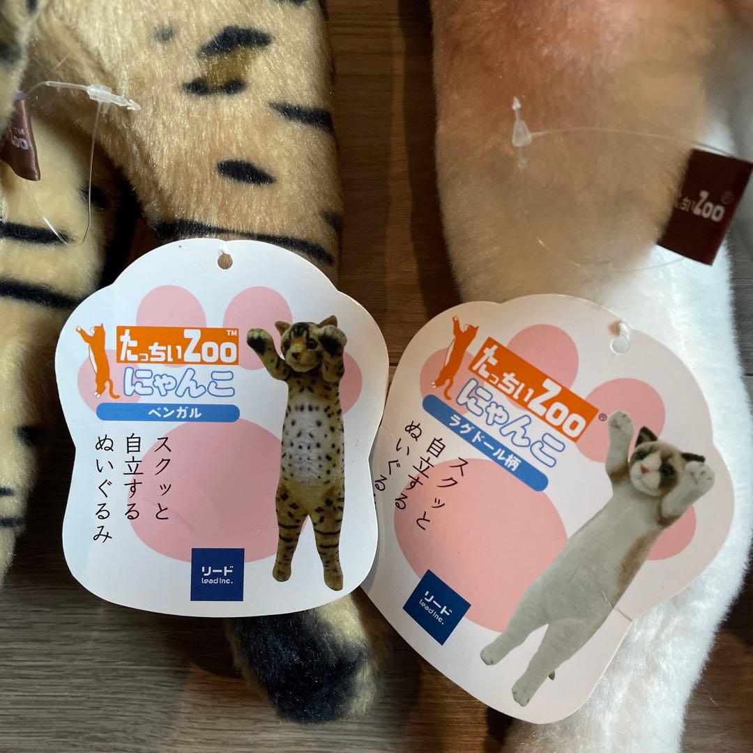 たっちい　Zoo にゃんこ ぬいぐるみ まとめ売り 自立する猫　ぬいぐるみ