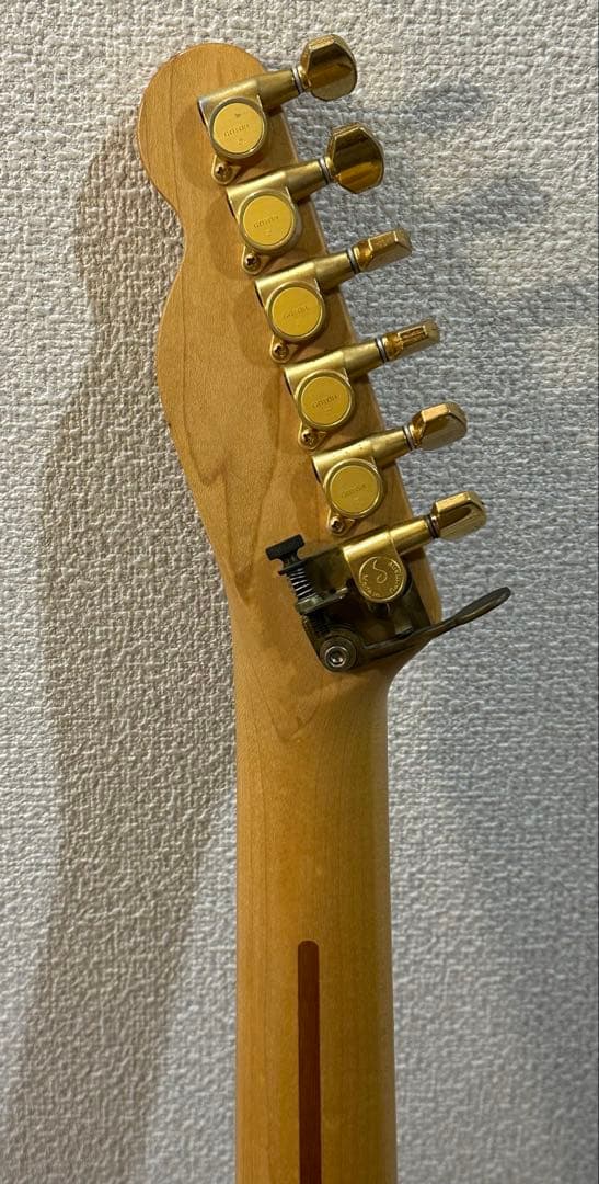 【美品】 Fender Richie Kotzen Telecaster