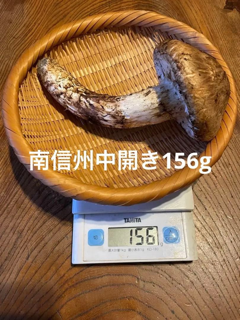 早い物勝ち‼️ 11/5夕方収穫　明日発送　貴重　南信州松茸極上中開き　156g