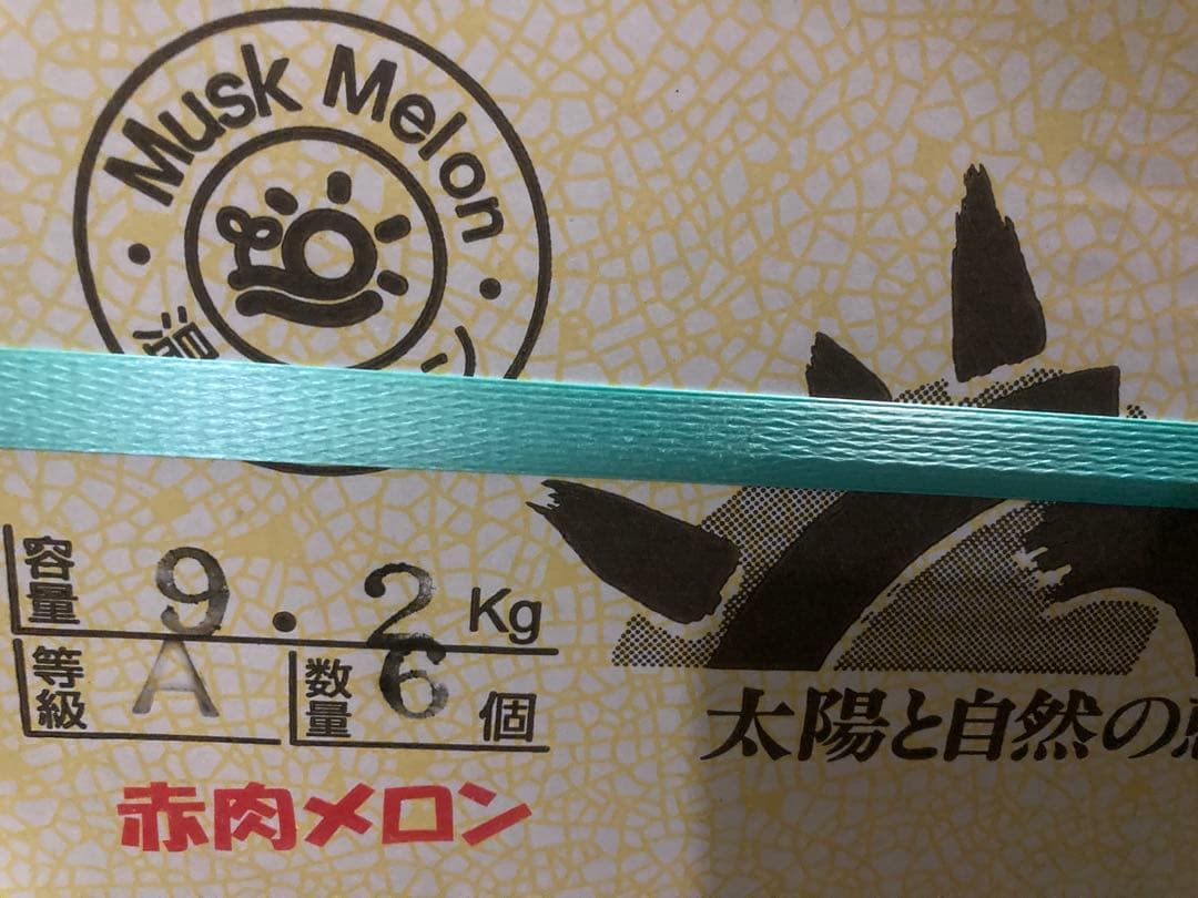 高知県産　赤肉メロン6玉入