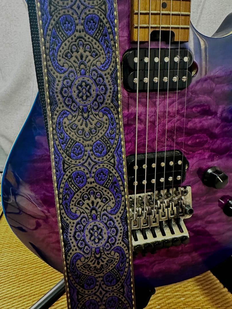 ギター EVH Wolfgang Standard Northern Lights