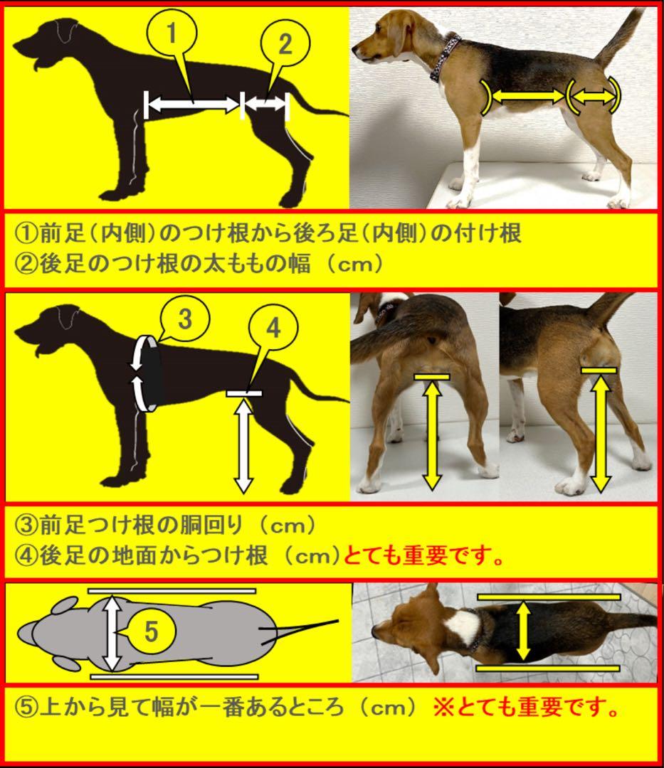 Mダックス歩行器、犬用車いす