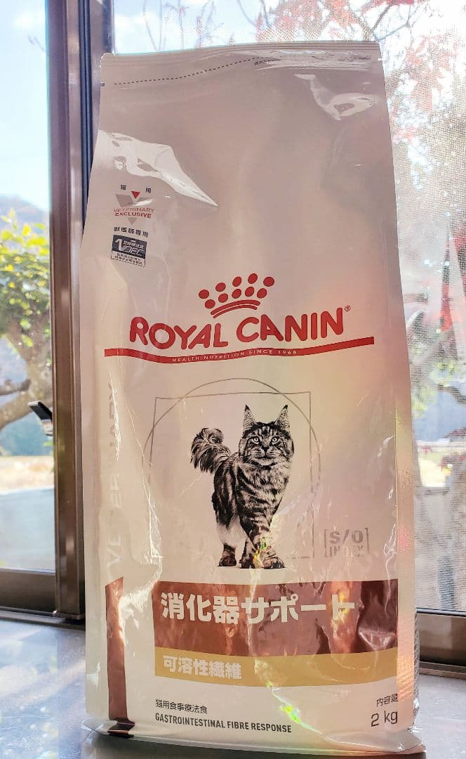  CANIN 消化器サポート可溶性繊維 2kg×2