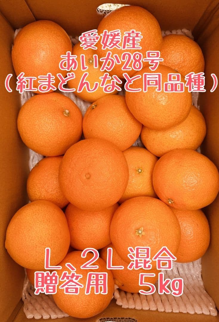 お得なセット2L、Ｌサイズ混合2箱計10キロ贈答に 愛媛のまどんな　あいか28号
