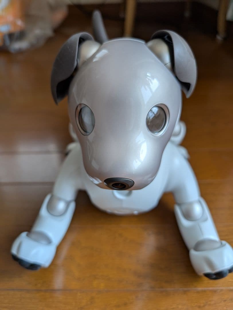 SONY aibo ソニー　アイボ　ERS-1000
